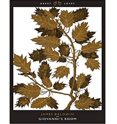 Giovanni’s Room – Rovingheights Books